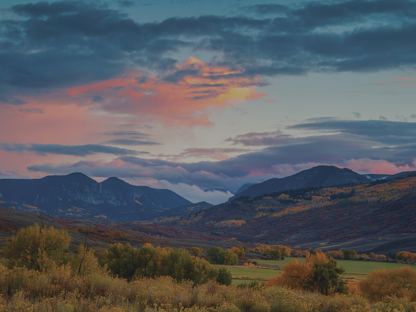 The MJ Companies Partners with Noodles & Company