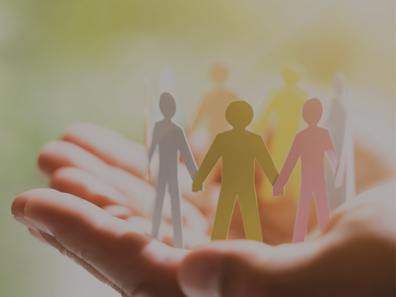 MJ Foundation Announces First Grant Recipients