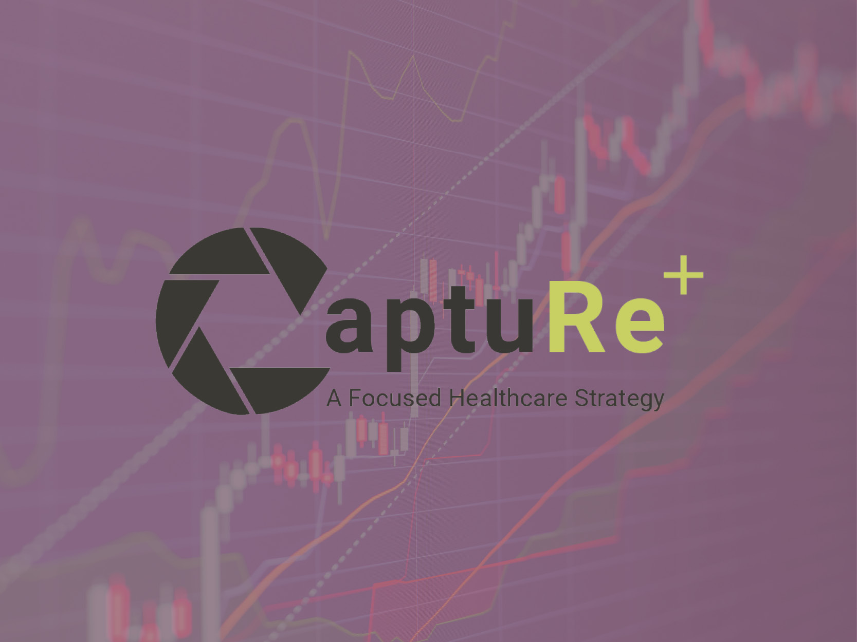 Captive Options for Forward-Thinking Businesses - The MJ Cos