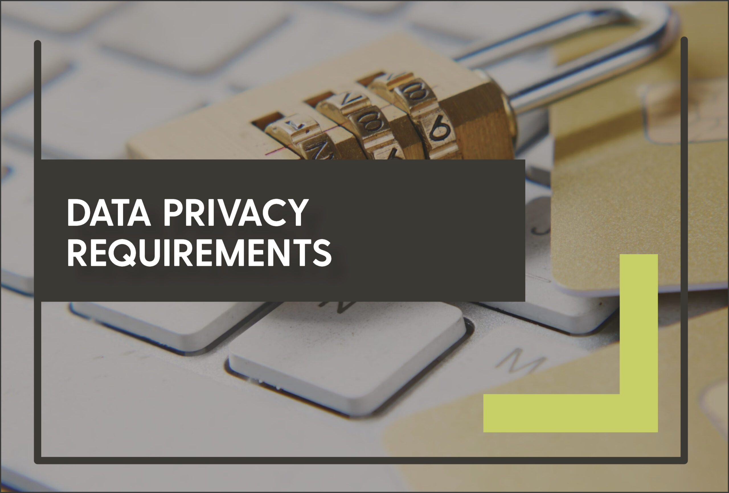 Data, Data, and More Data Privacy Requirements
